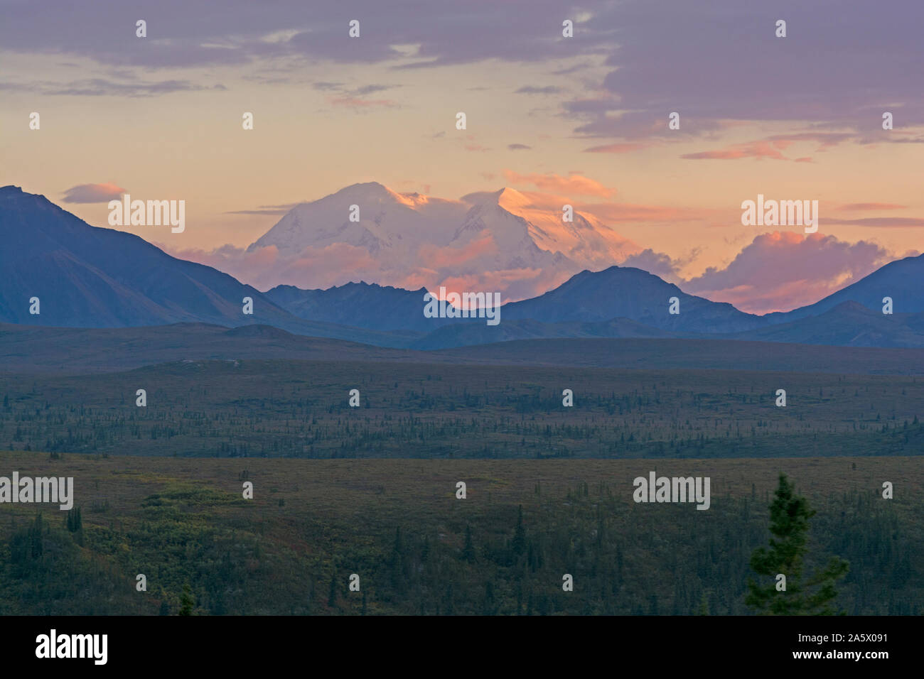 Distant Sunset of Denali in Denali Park from Savage River in Alaska ...