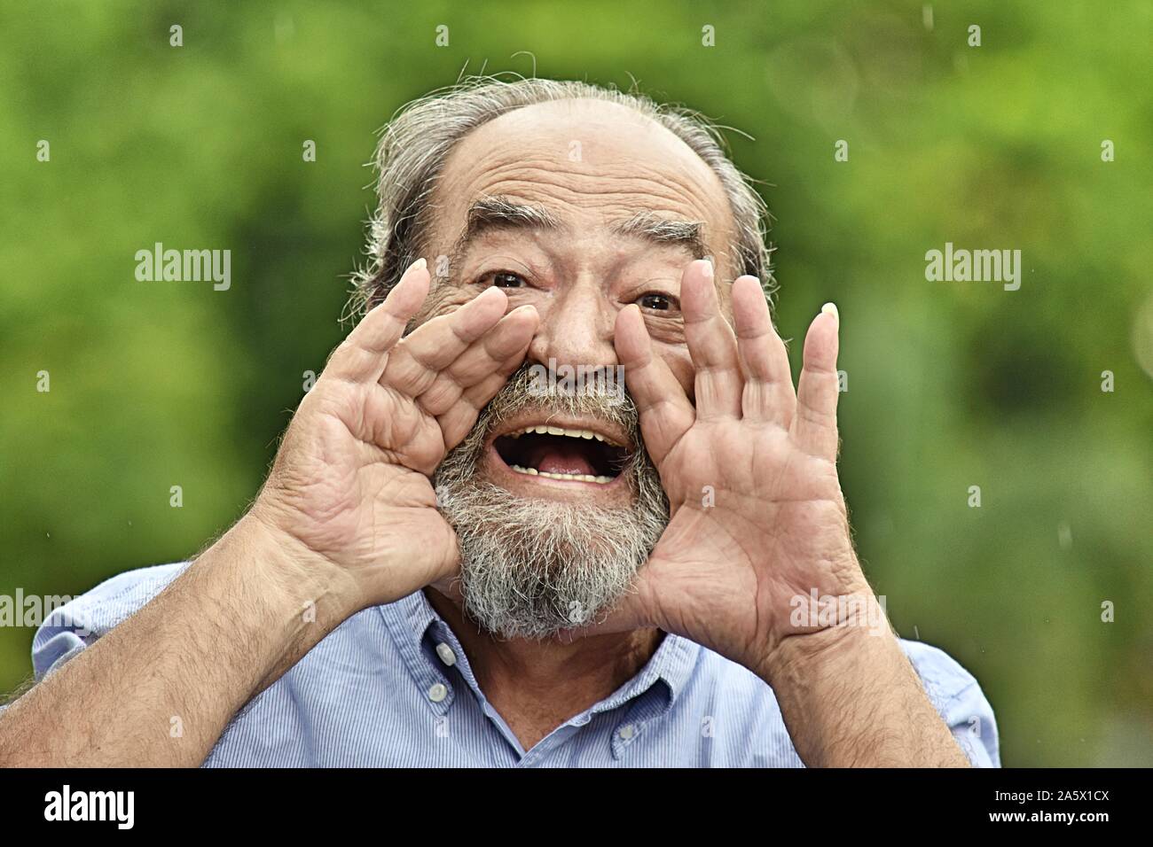 Bearded Old Male Shouting Stock Photo - Alamy