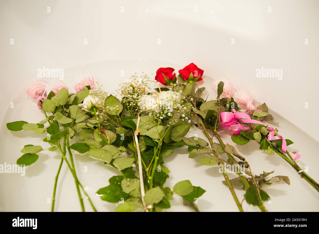 Unwanted flora hi-res stock photography and images - Alamy
