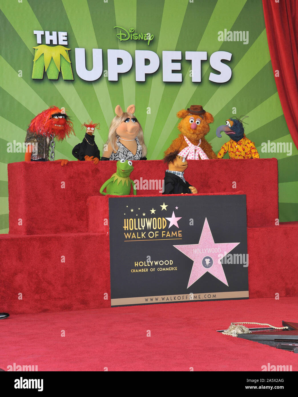 The muppets star ceremony hi-res stock photography and images - Alamy