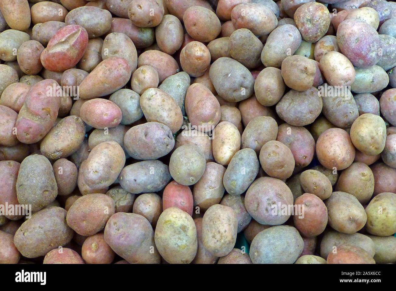 Kartoffeln kartoffel hi-res stock photography and images - Alamy