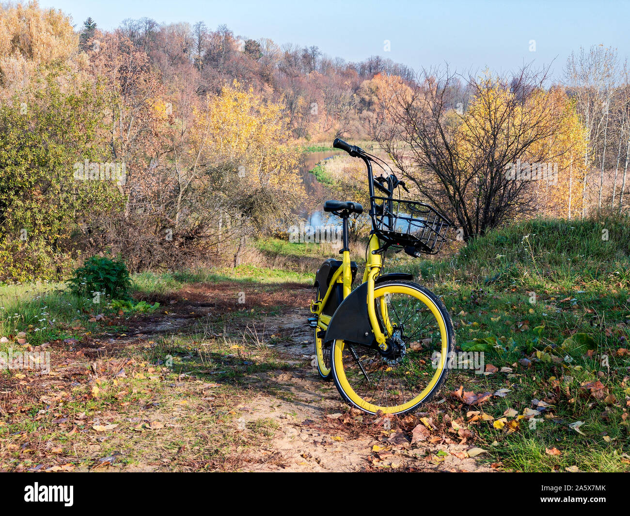 yellow rent-a-bike parked on forest road at sunny autumn day Stock ...