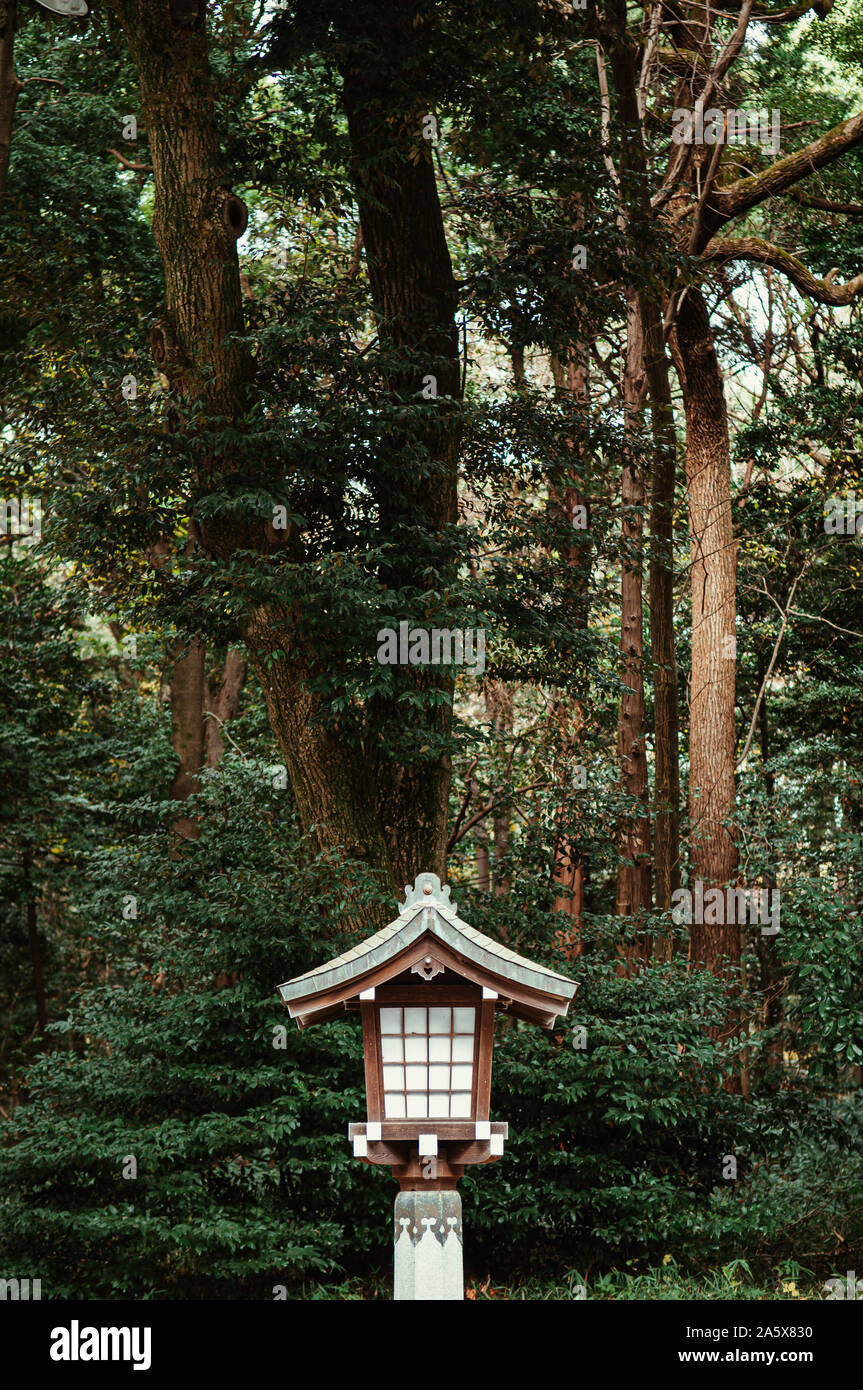 Old Japanese lamp decoration of Meiji Jingu Shrine under big tree in ...