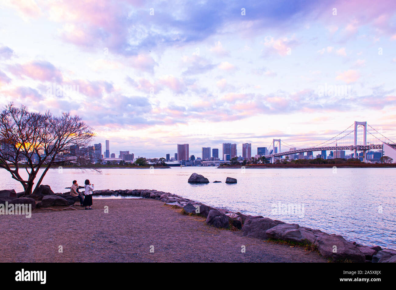 DEC 5, 2019 Tokyo, Japan - Odaiba Rainbow bridge and Tokyo bay view in ...