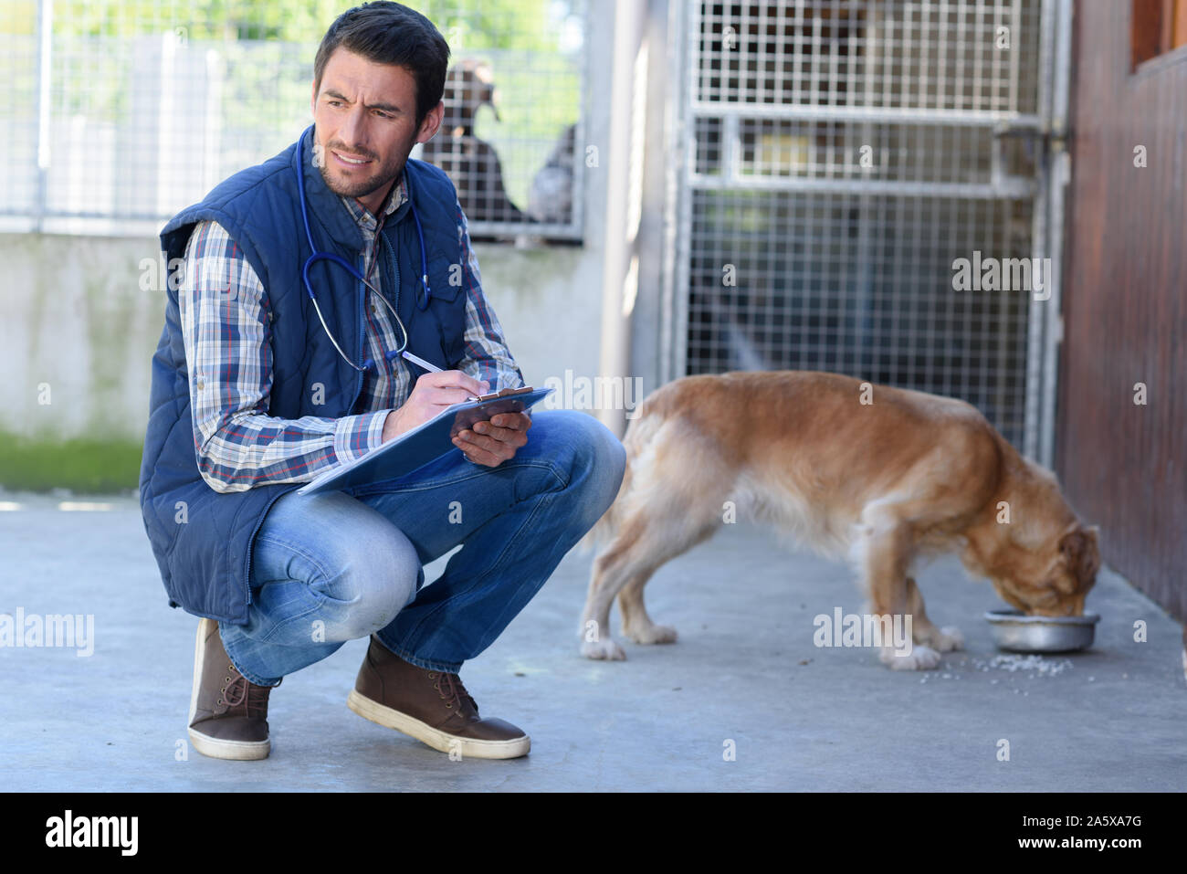 Animal cage clipboard hi-res stock photography and images - Alamy