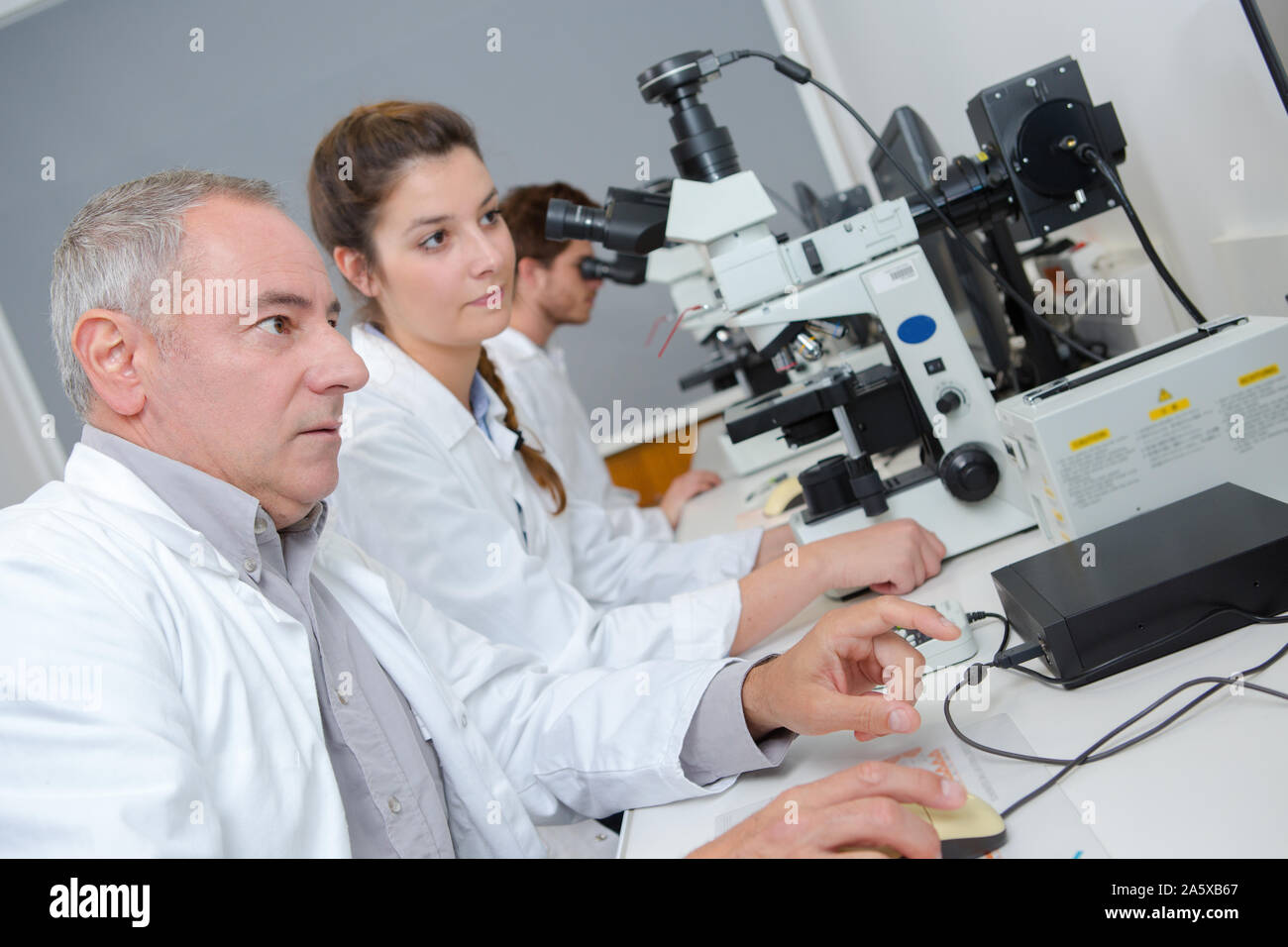 student doing their laboratory observation Stock Photo - Alamy