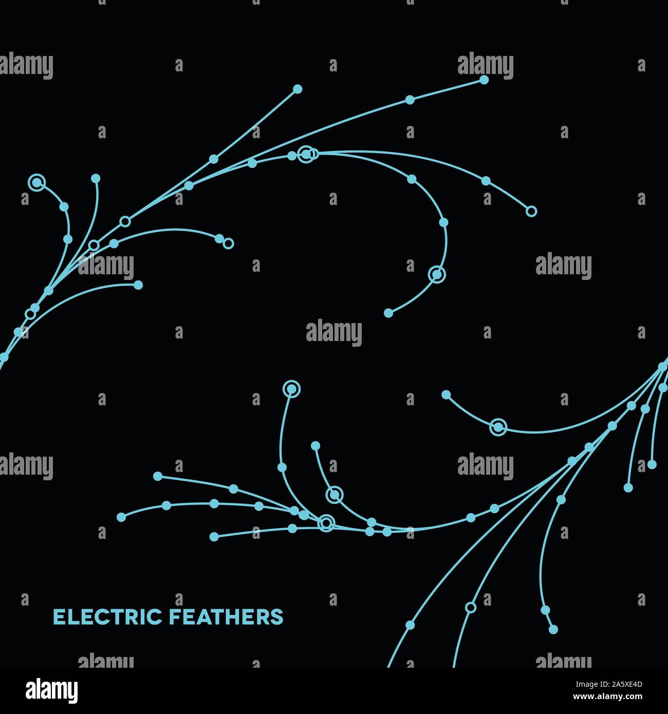 Wire grid feathers made of connected dots Stock Vector Image & Art - Alamy