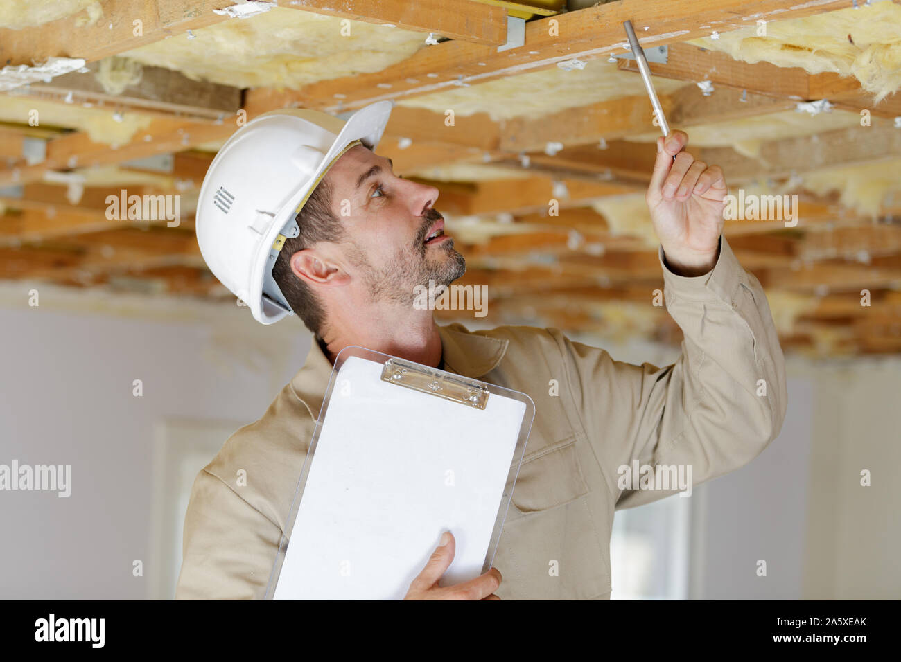 builder inspector looking at wooden ceiling struts Stock Photo - Alamy