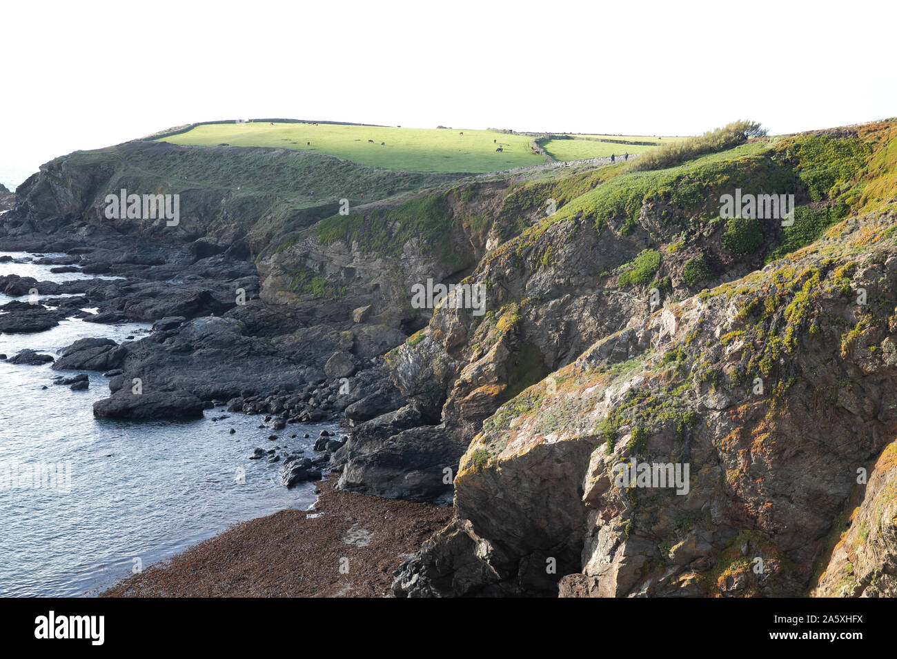 The Lizard in Cornwall is the most Southerly point of the British ...