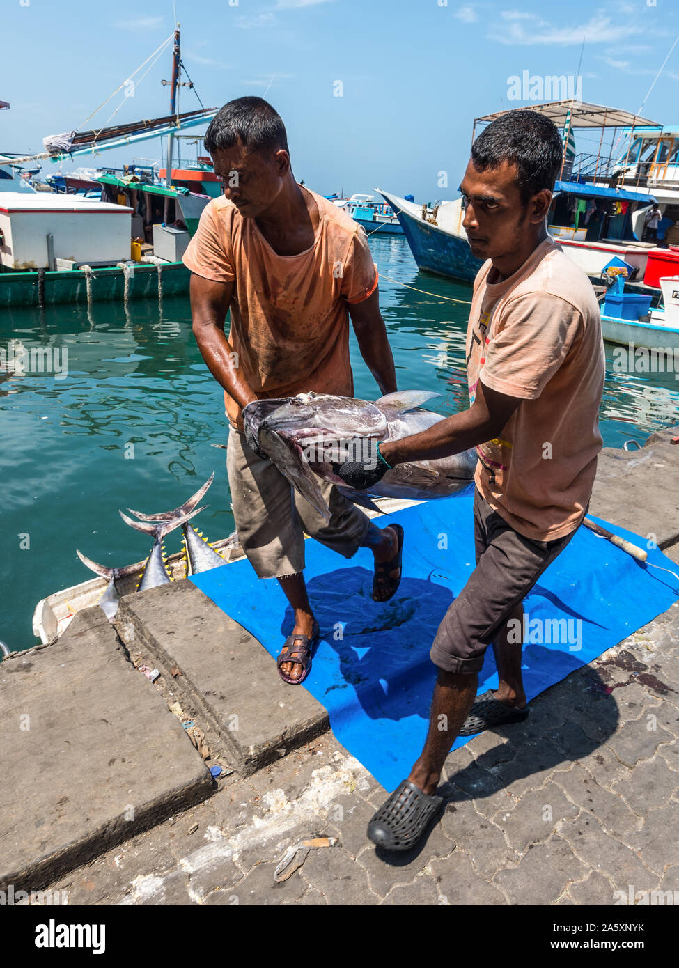 Male, Maldives - November 17, 2017: Area of fresh fish market in Male ...
