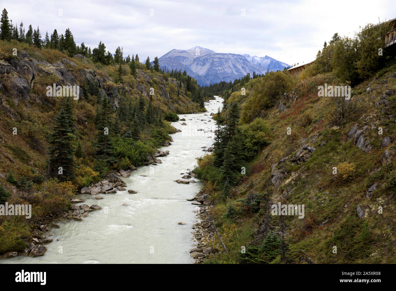 Yukon landscape, Yukon, Canada, USA Stock Photo - Alamy