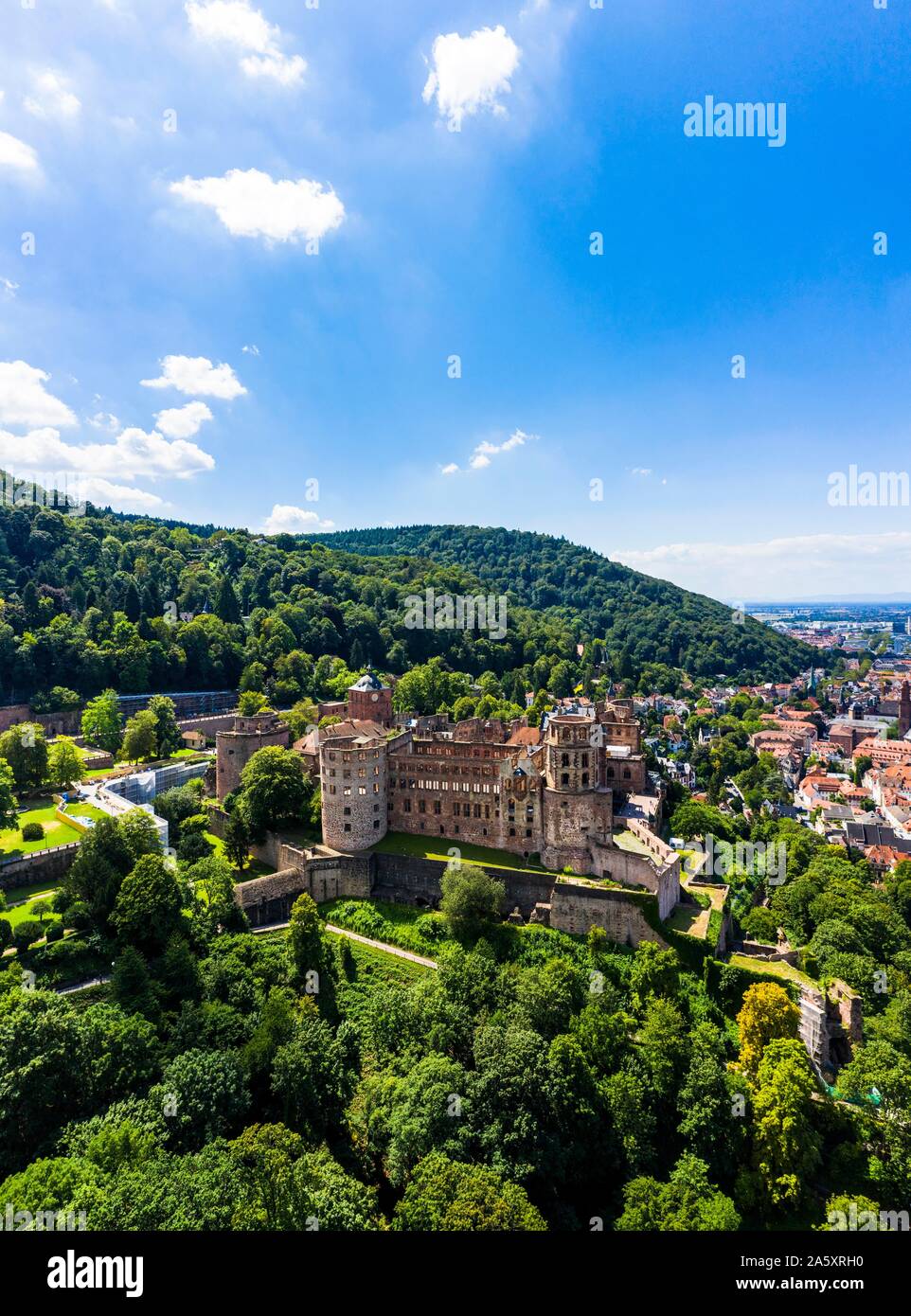 Aerial view, Heidelberg Castle and Old Town of Heidelberg with Neckar, Baden-Wurttemberg ...