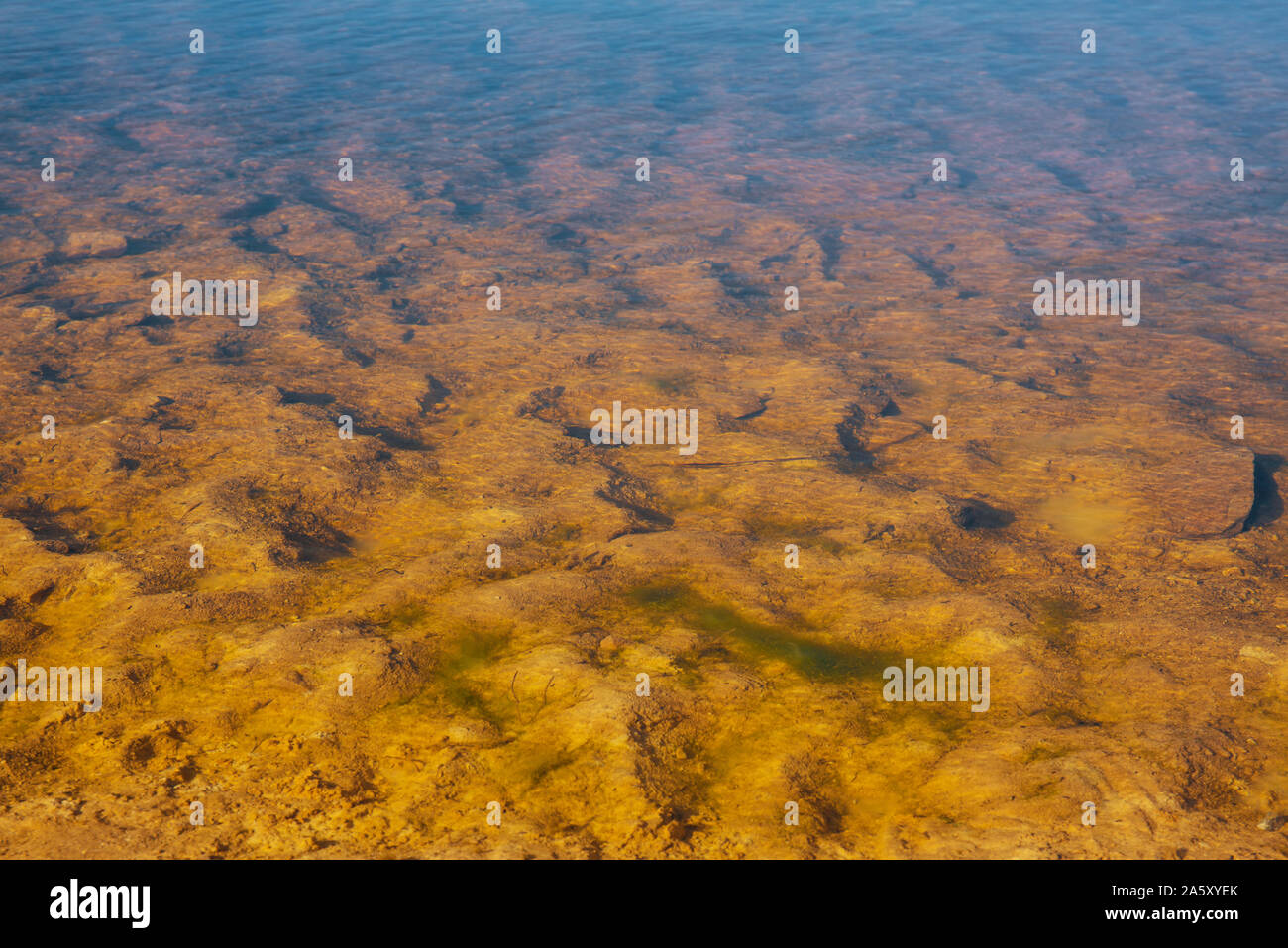 Natural lake in nature hi-res stock photography and images - Alamy