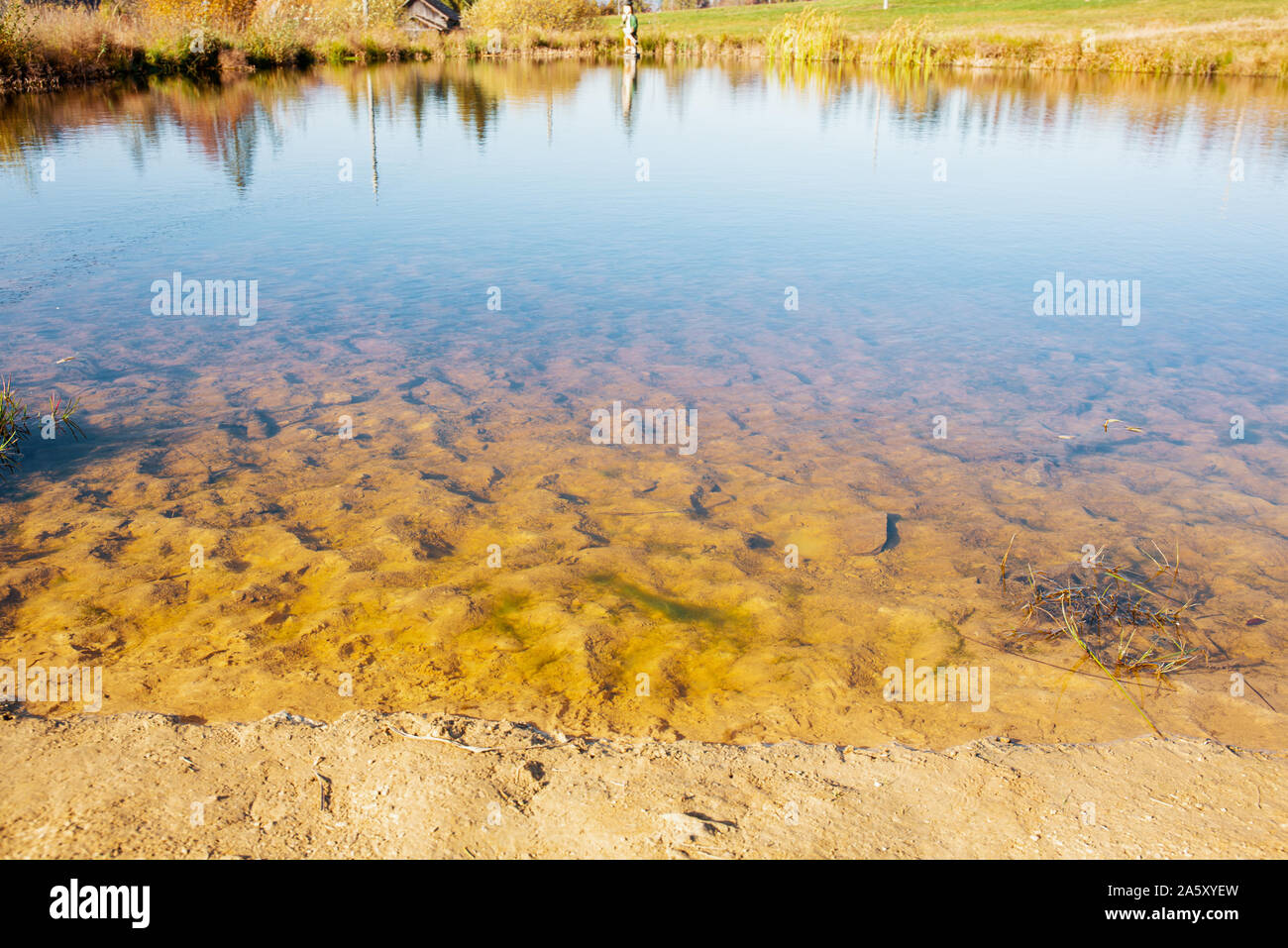 Natural lake in nature hi-res stock photography and images - Alamy