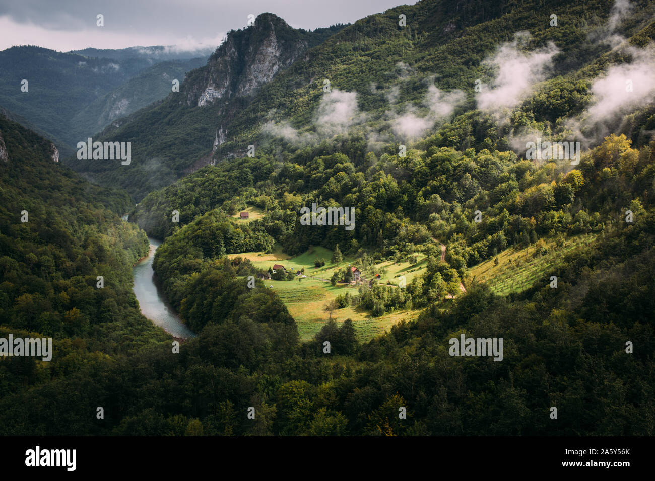 Beautiful view forest landscape hi-res stock photography and images - Alamy