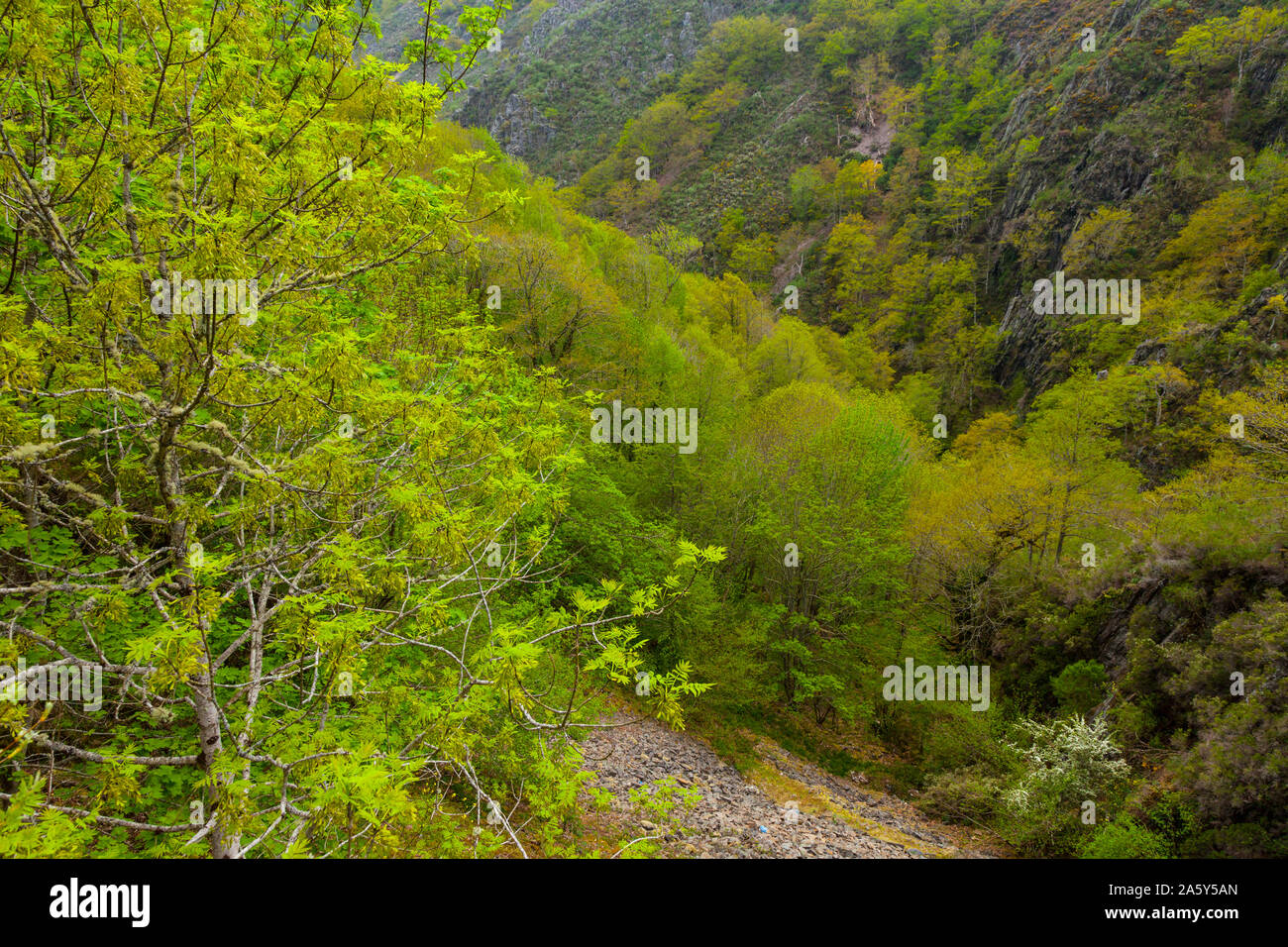 Degana e ibias natural park hi-res stock photography and images - Alamy