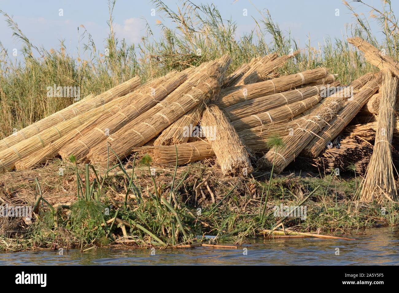 Bundle of grass thatching hi-res stock photography and images - Alamy