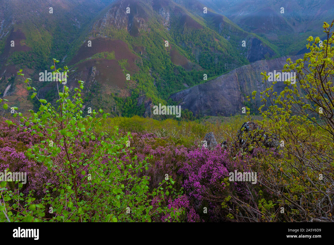 Degana e ibias natural park hi-res stock photography and images - Alamy