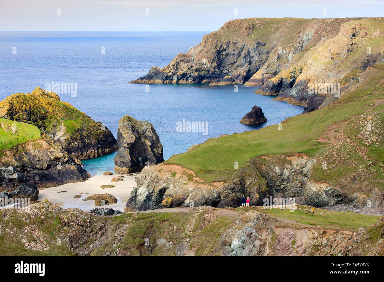 Kynance Cove Lizard Peninsula Helston Cornwall England Stock Photo - Alamy