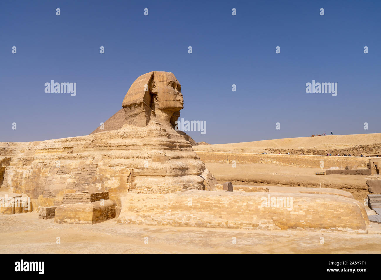 Great Sphinx of Giza, with the Great Pyramid in the background Stock ...