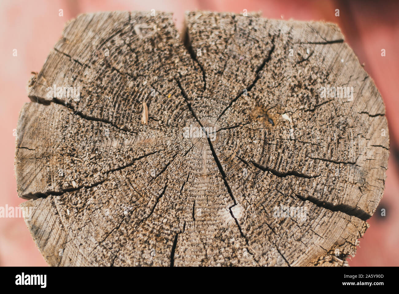 Log close up shot background hi-res stock photography and images - Alamy