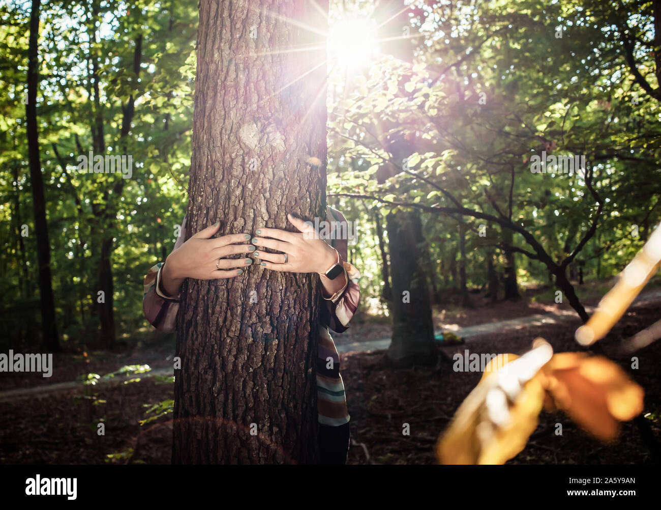 woman hands hugging a tree - fight climate change, save planet earth ...