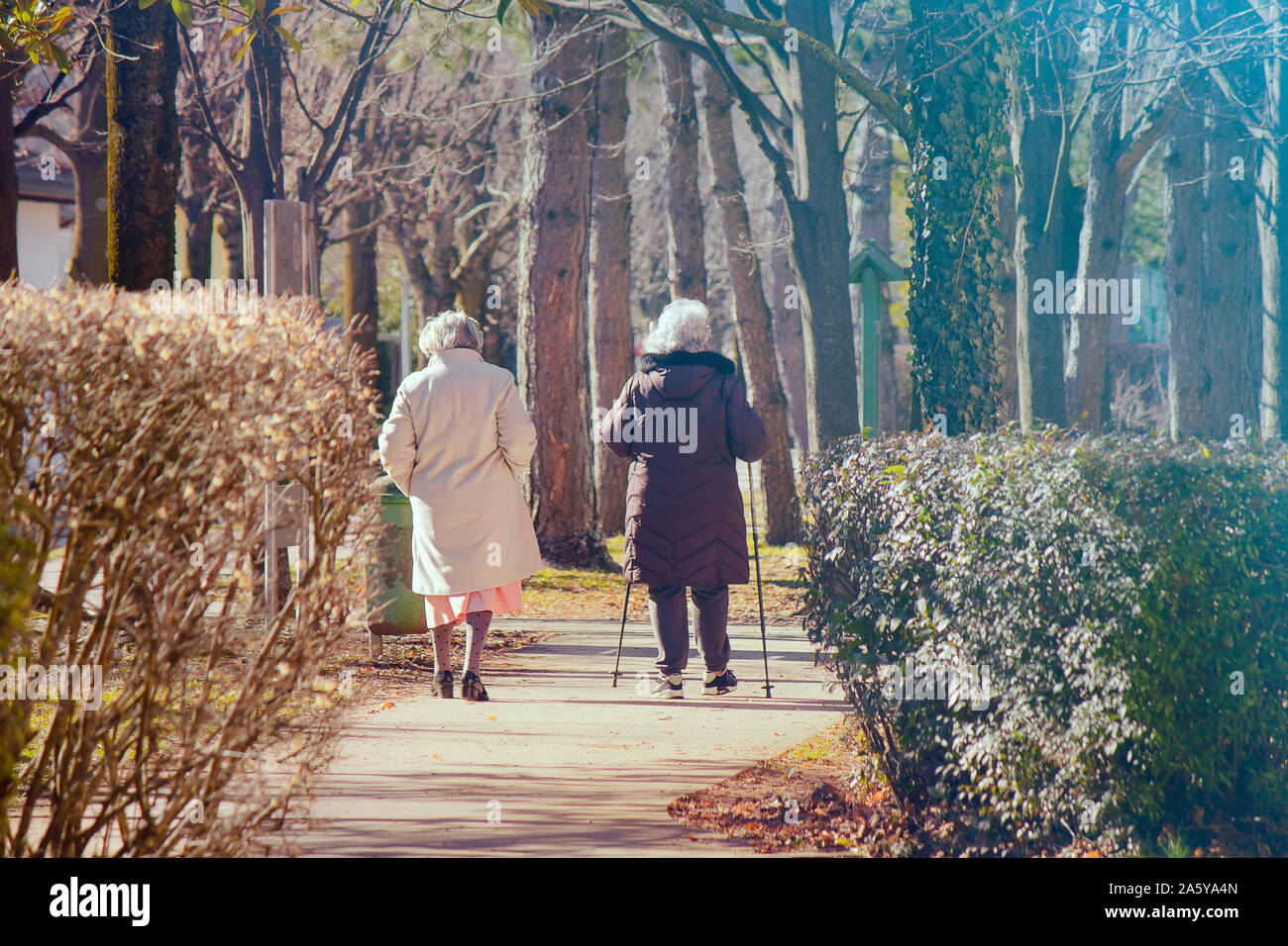 two old ladies walking in a park, taking a walk outdoors is considered ...
