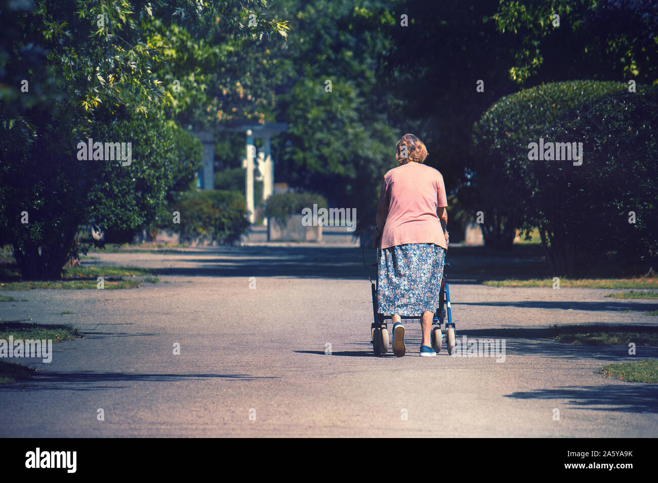 Disabled Elderly Person Rollator Walking Frame High Resolution Stock ...