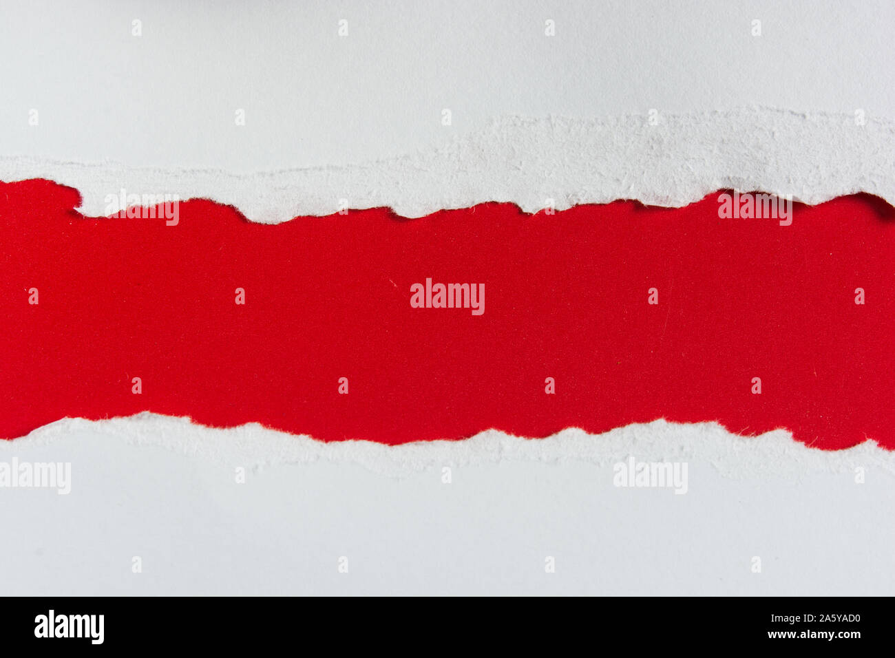 tear red paper pieces of paper on white background Stock Photo - Alamy
