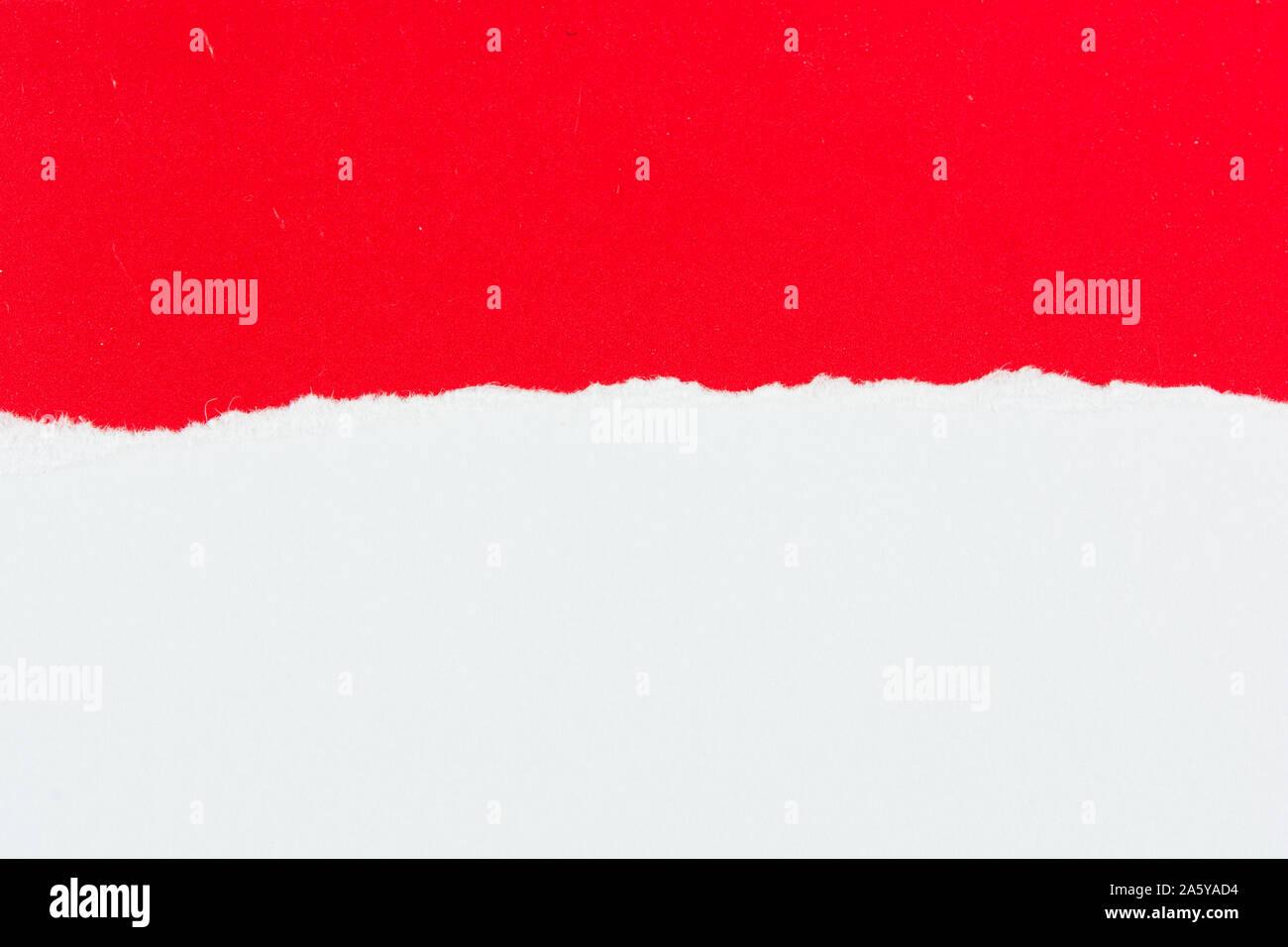 tear red paper pieces of paper on white background Stock Photo - Alamy