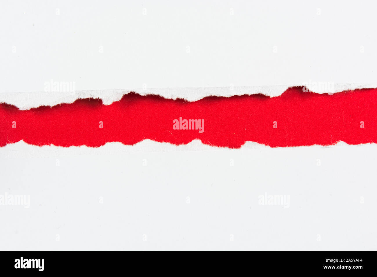 tear red paper pieces of paper on white background Stock Photo - Alamy