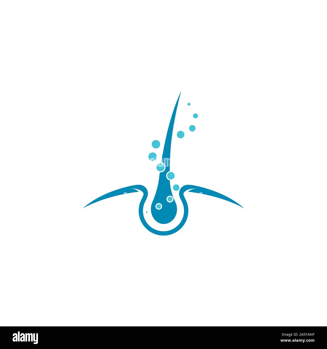 Human hair follicle hi-res stock photography and images - Alamy