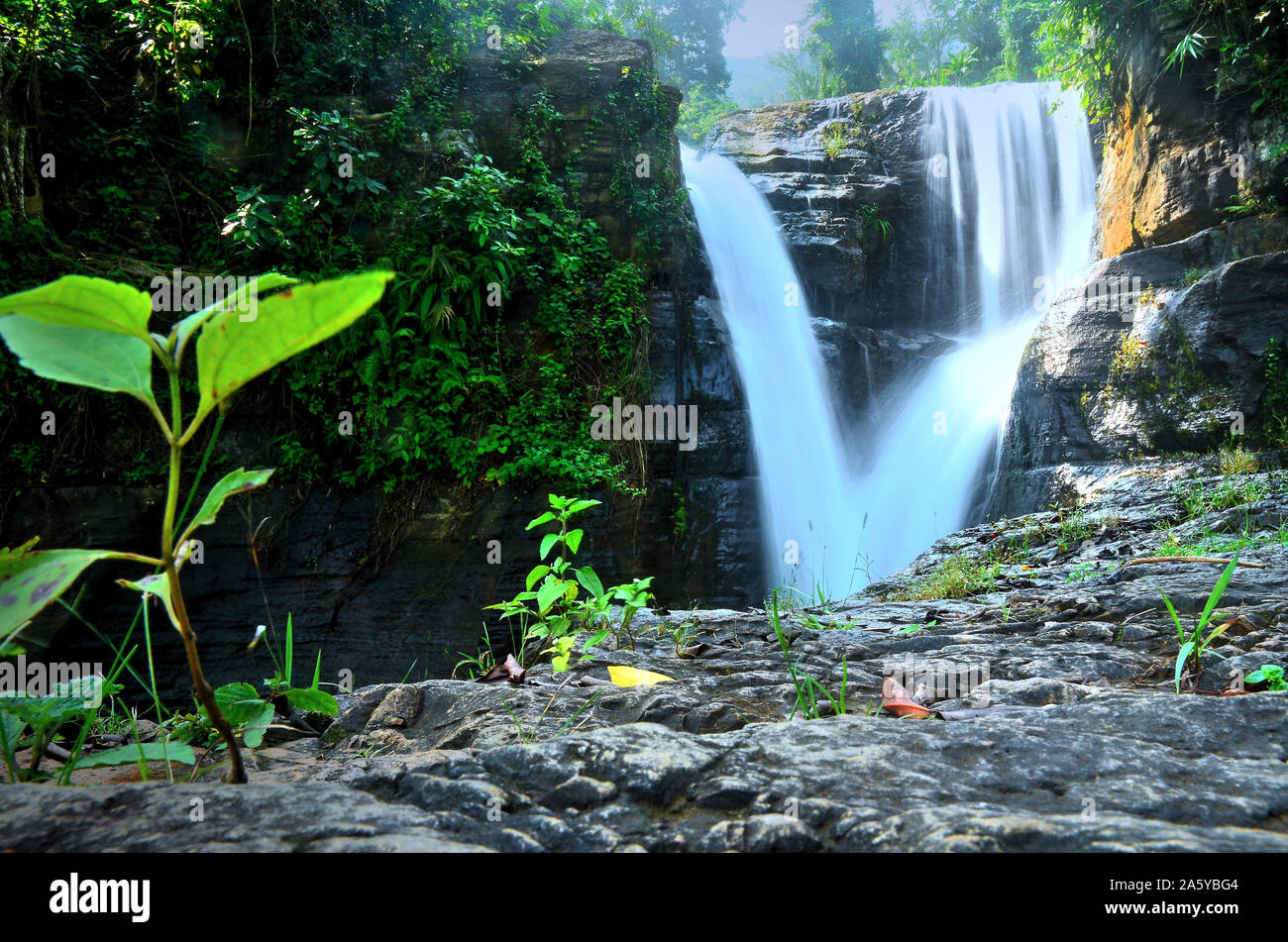 Waterfall In Forest | Coban Tundo, Malang, East Java, Indonesia Stock ...