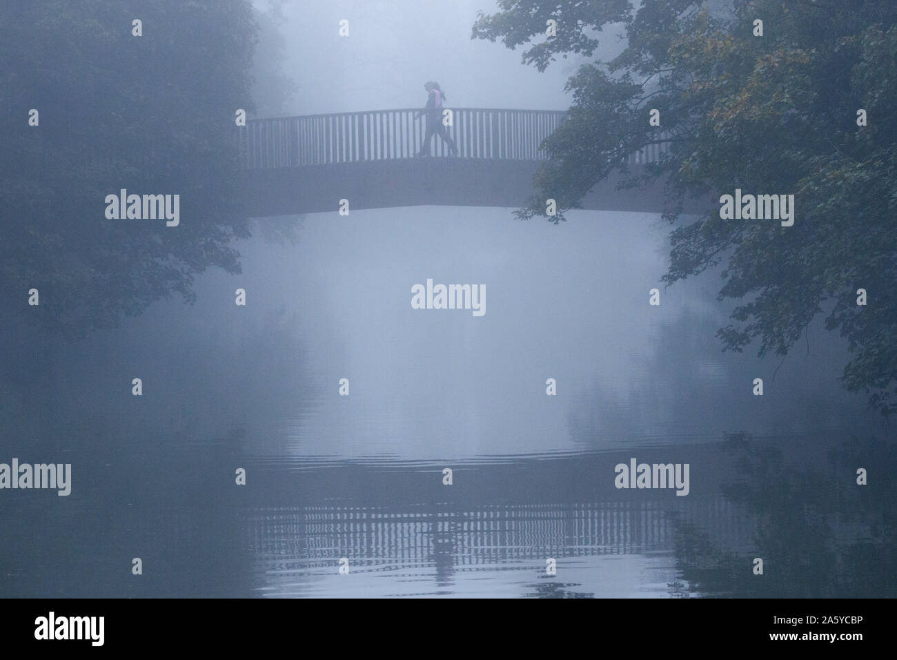 Chippenham, Wiltshire UK. 23rd Oct, 2019. As foggy weather affects many ...