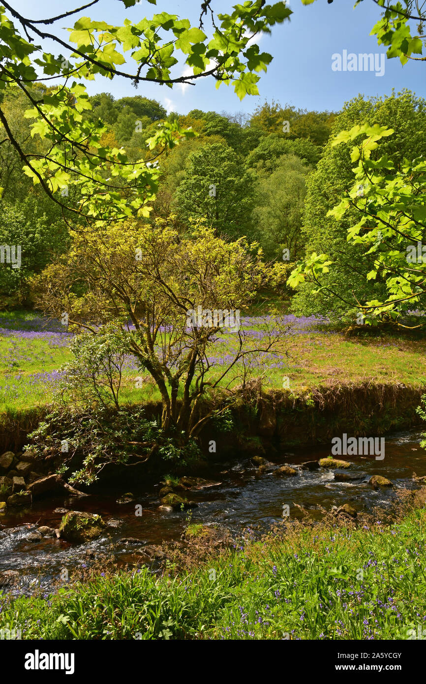 Stepping stones, Hebden Water, Hardcastle Crags, Hebden Bridge Stock ...