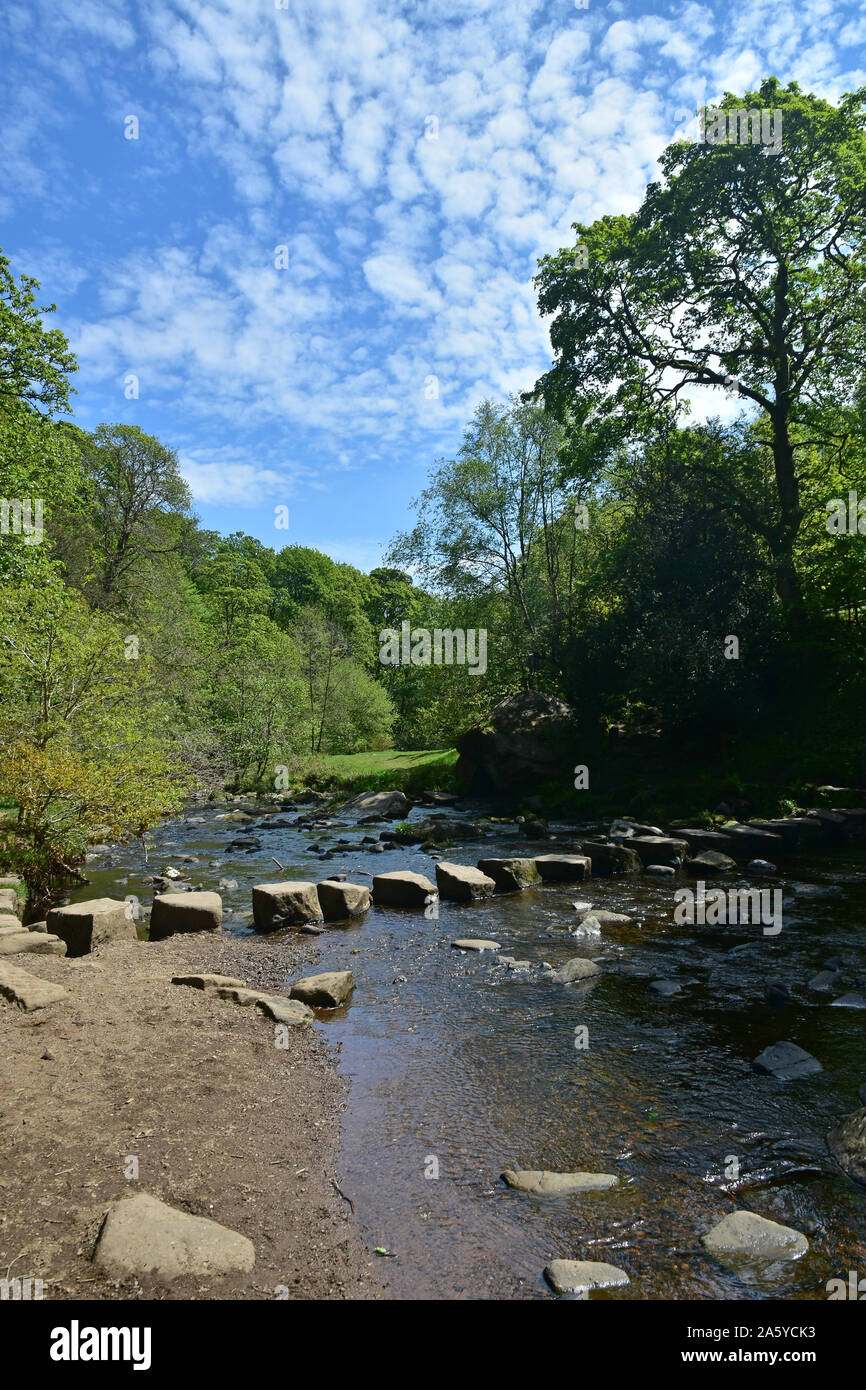 Stepping stones, Hebden Water, Hardcastle Crags, Hebden Bridge Stock ...