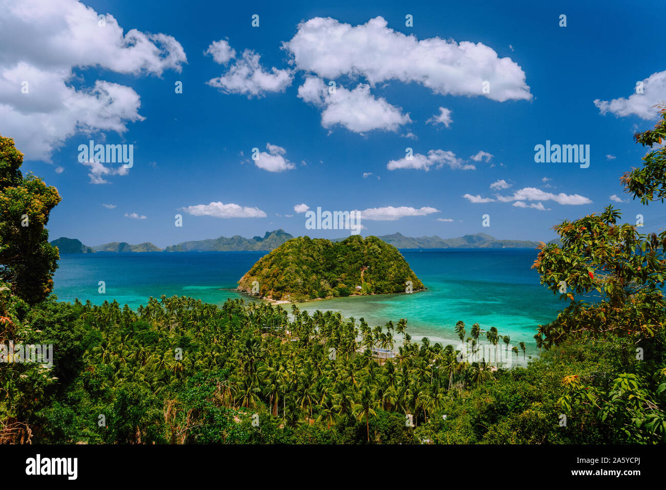 Tropical scenery of bacuit archipelago with palm trees, island and blue ...