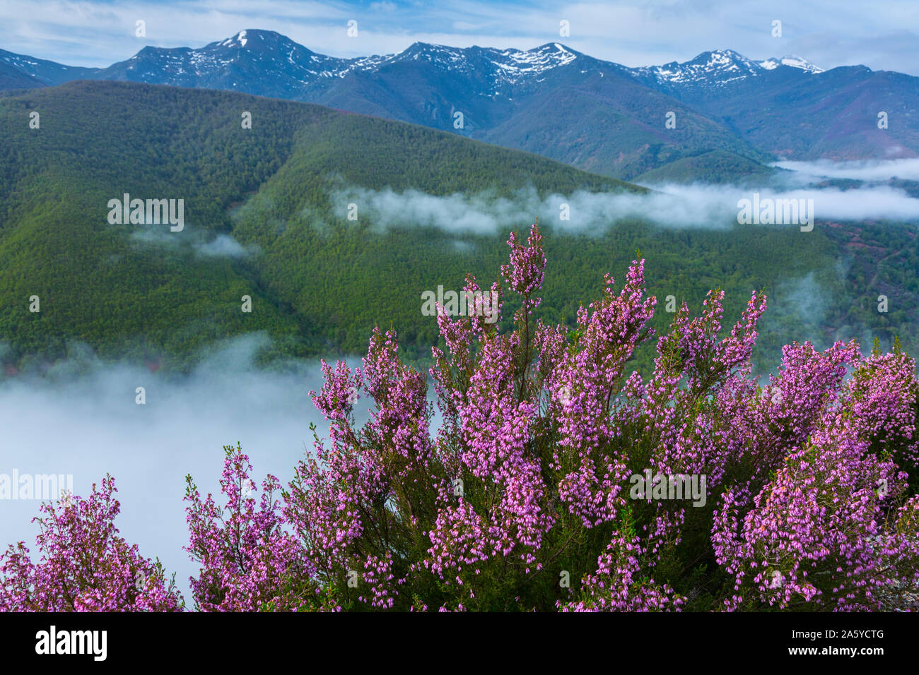 Degana e ibias natural park hi-res stock photography and images - Alamy