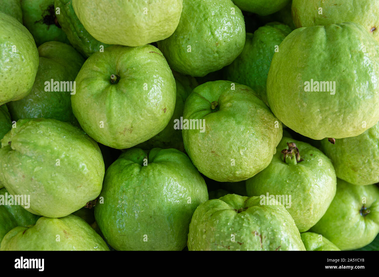 Bunch of guava hi-res stock photography and images - Alamy