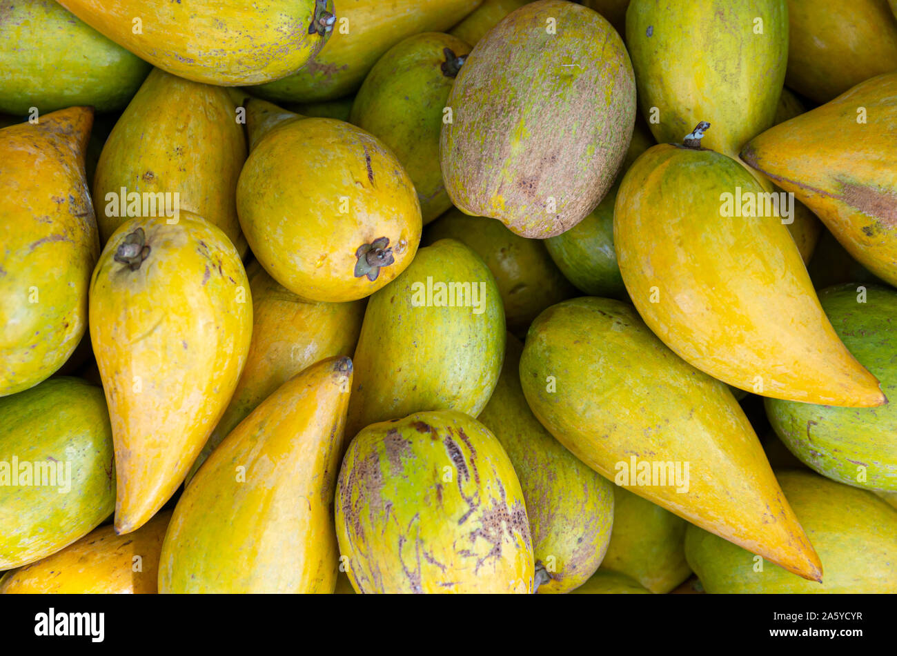 Canistel fruit hi-res stock photography and images - Alamy