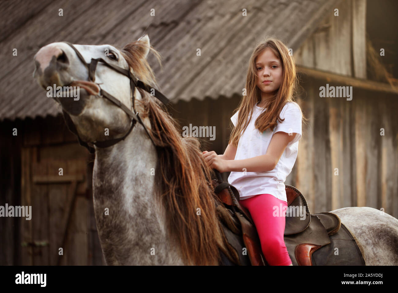Little girl riding a horse Stock Photo - Alamy