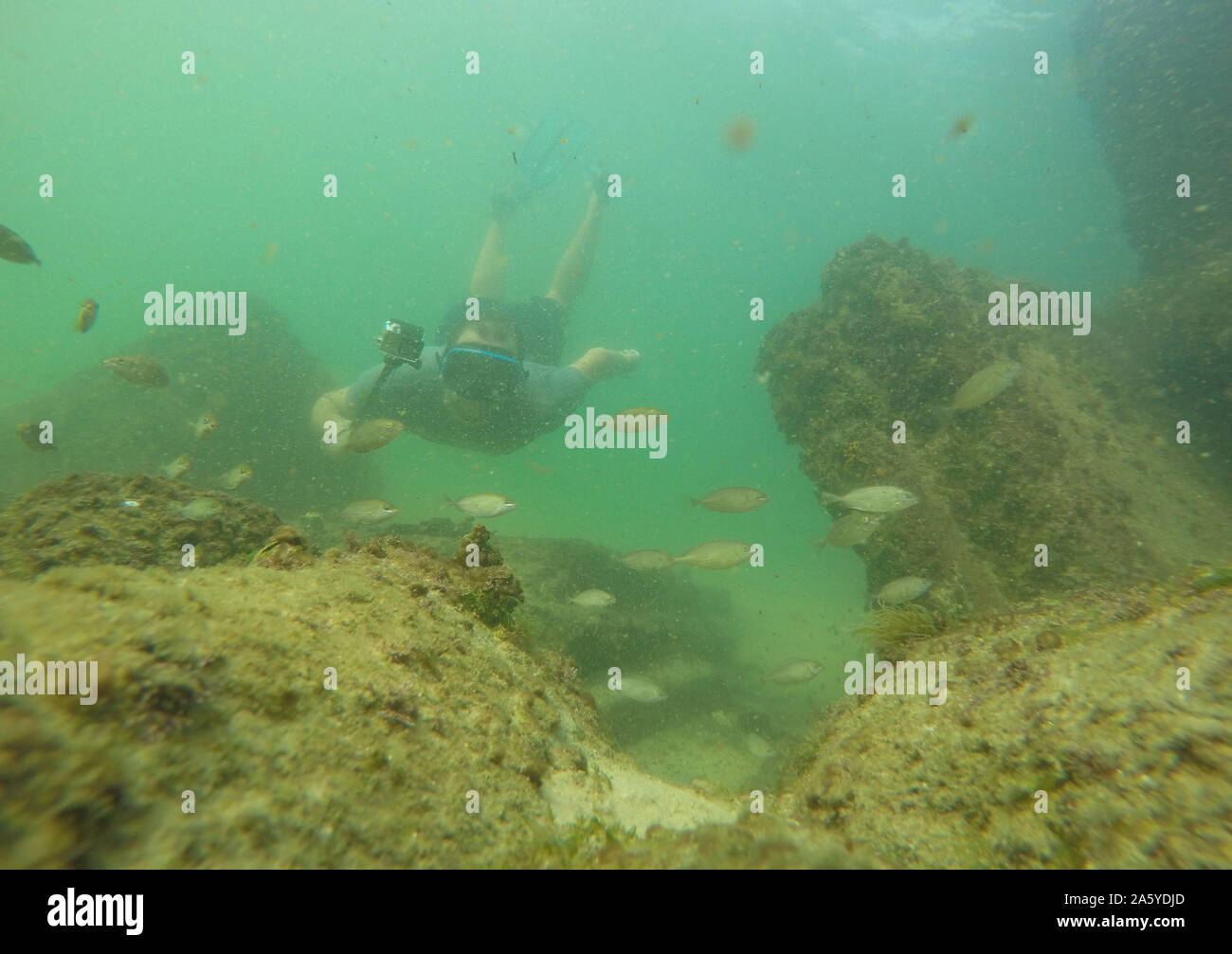 Gaza City, Gaza Strip, Palestinian Territory. 23rd Oct, 2019 ...