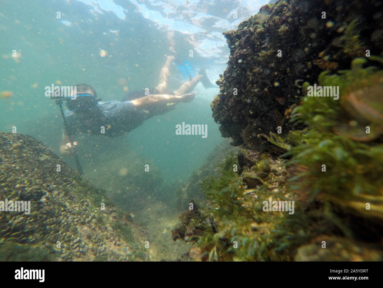 Gaza City, Gaza Strip, Palestinian Territory. 23rd Oct, 2019 ...