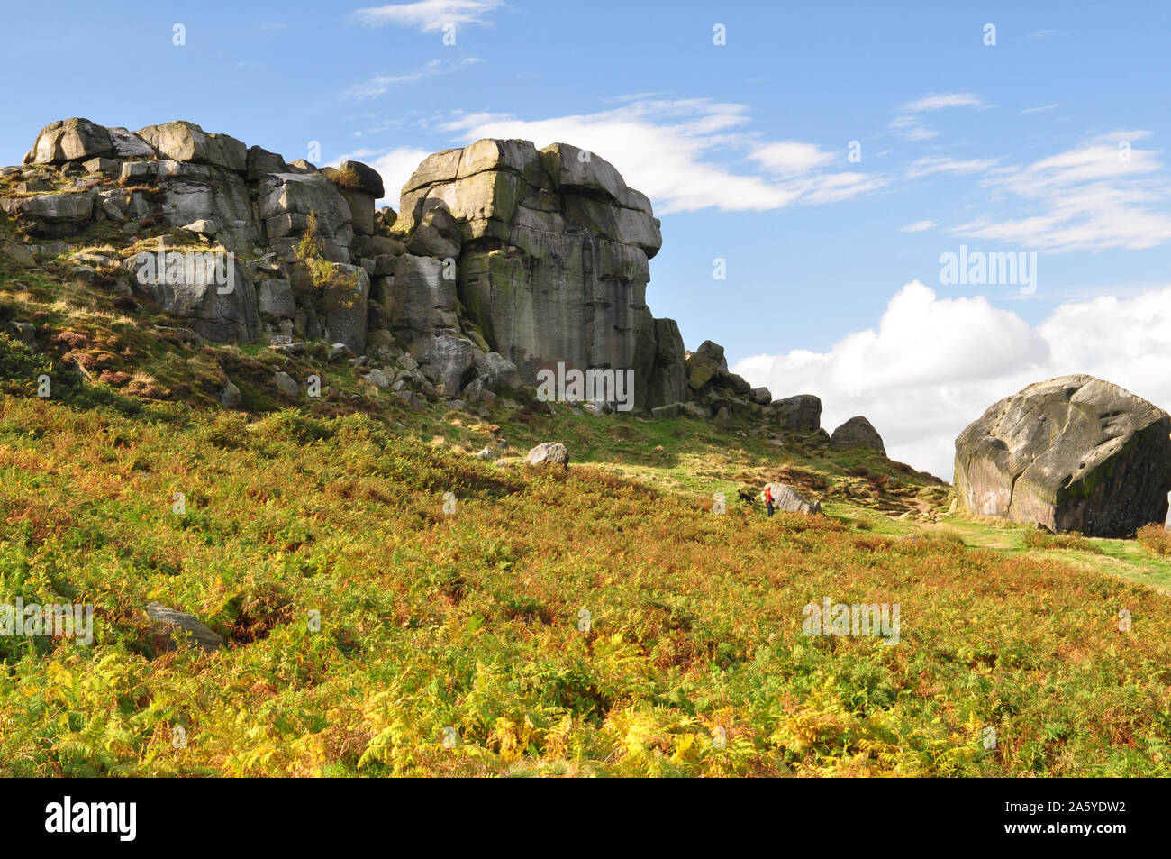 Calf rocks hi-res stock photography and images - Alamy