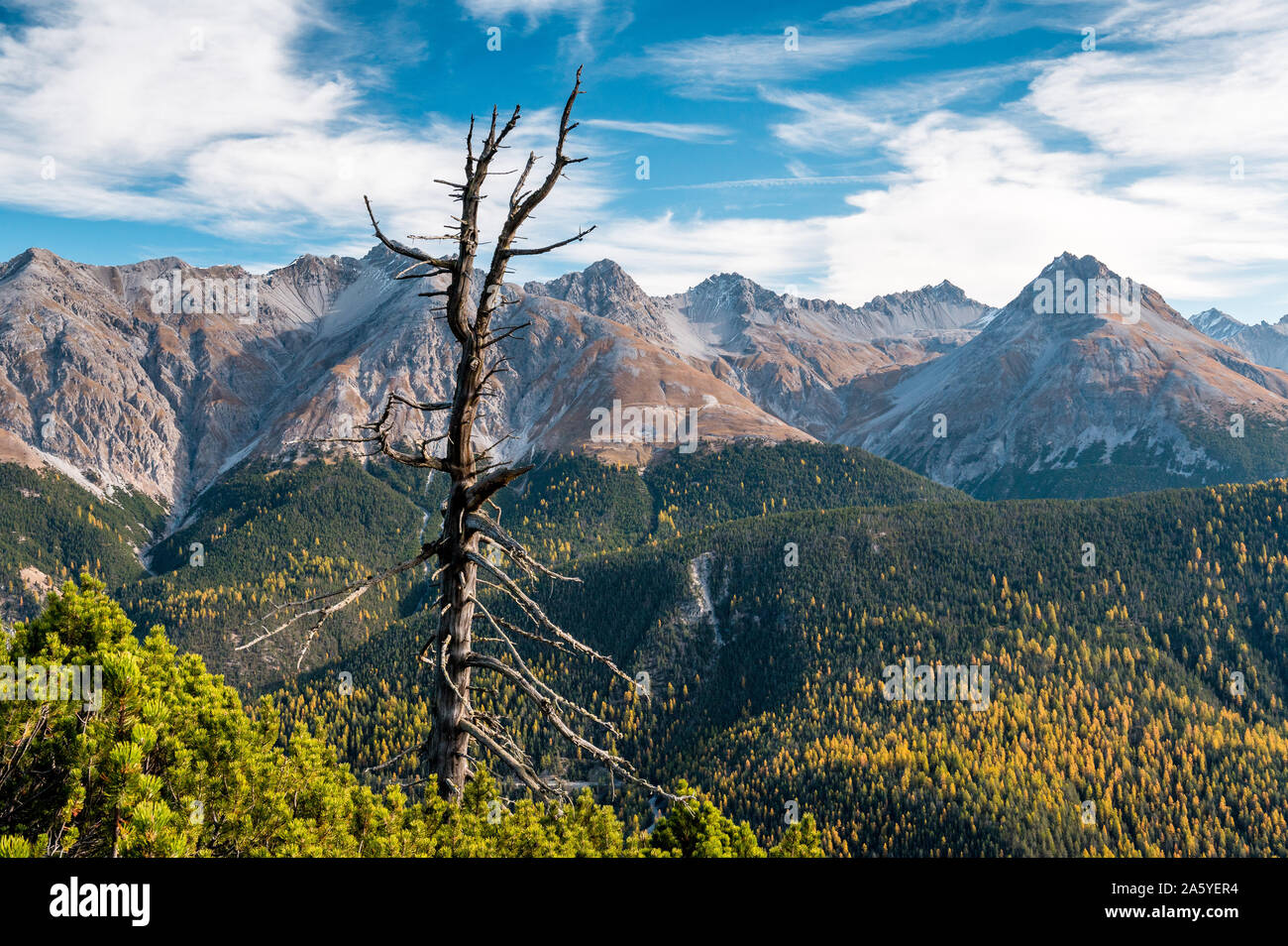 Swiss National Park in beautiful autumn colors Stock Photo - Alamy