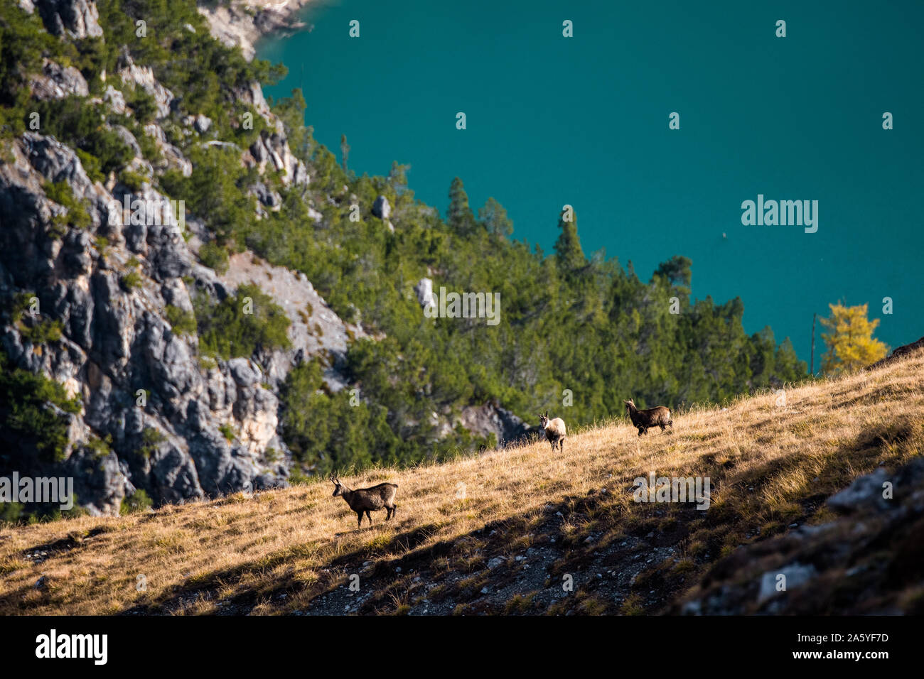 Stausee swiss alps hi-res stock photography and images - Alamy