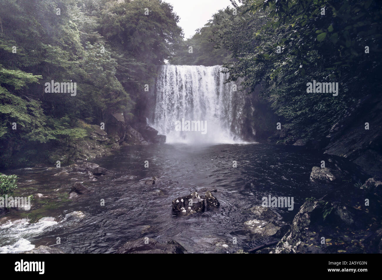 scenic waterfall with pond in forest on gloomy day Stock Photo - Alamy