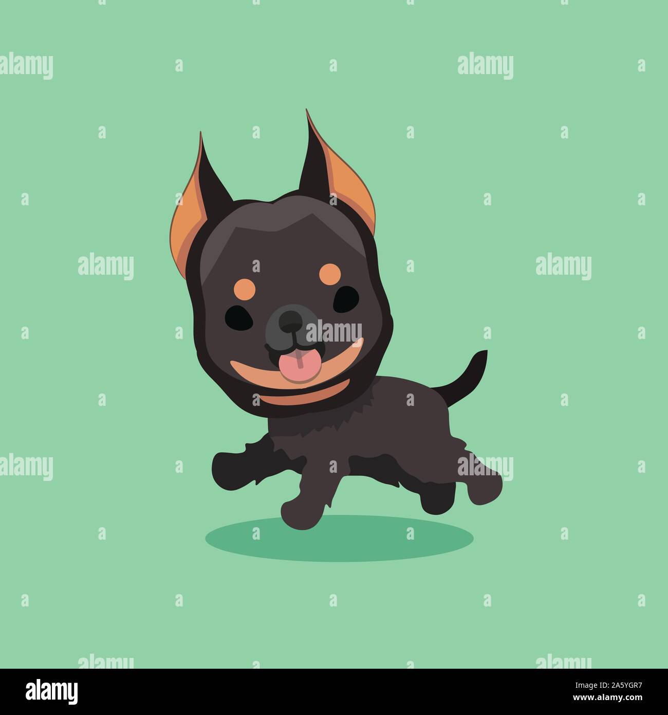 Beauceron dog Stock Vector Images - Alamy