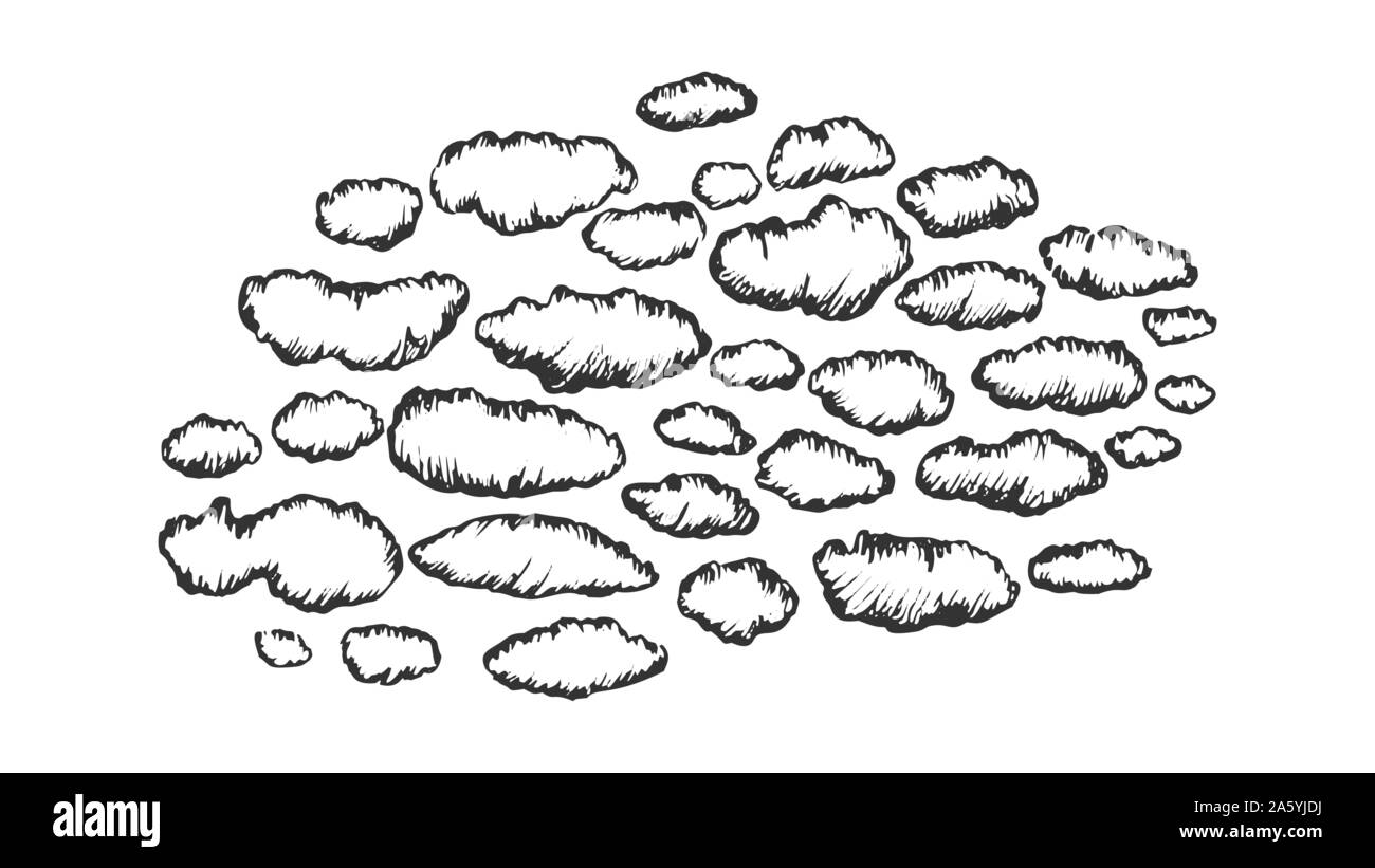 Fluffy Clouds Cumulus Flying On Sky Ink Vector Stock Vector Image & Art ...