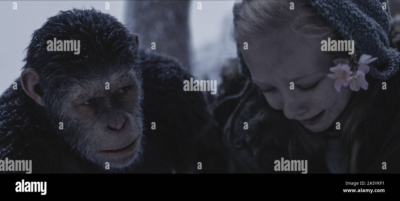 Chimpanzee Crying High Resolution Stock Photography and Images - Alamy